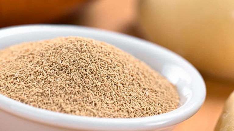 A Guide To Understanding Yeast | Our Deer