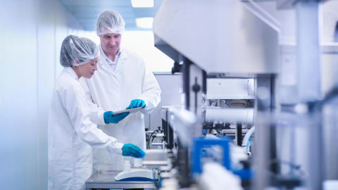 Elements Of A Good Manufacturing Process | Our Deer